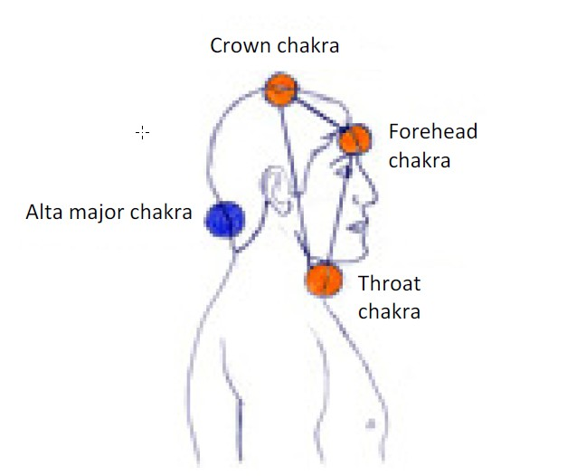 LES CHAKRAS DE LA TÊTE – Spiritualité, Ésotérisme et Réinformation
